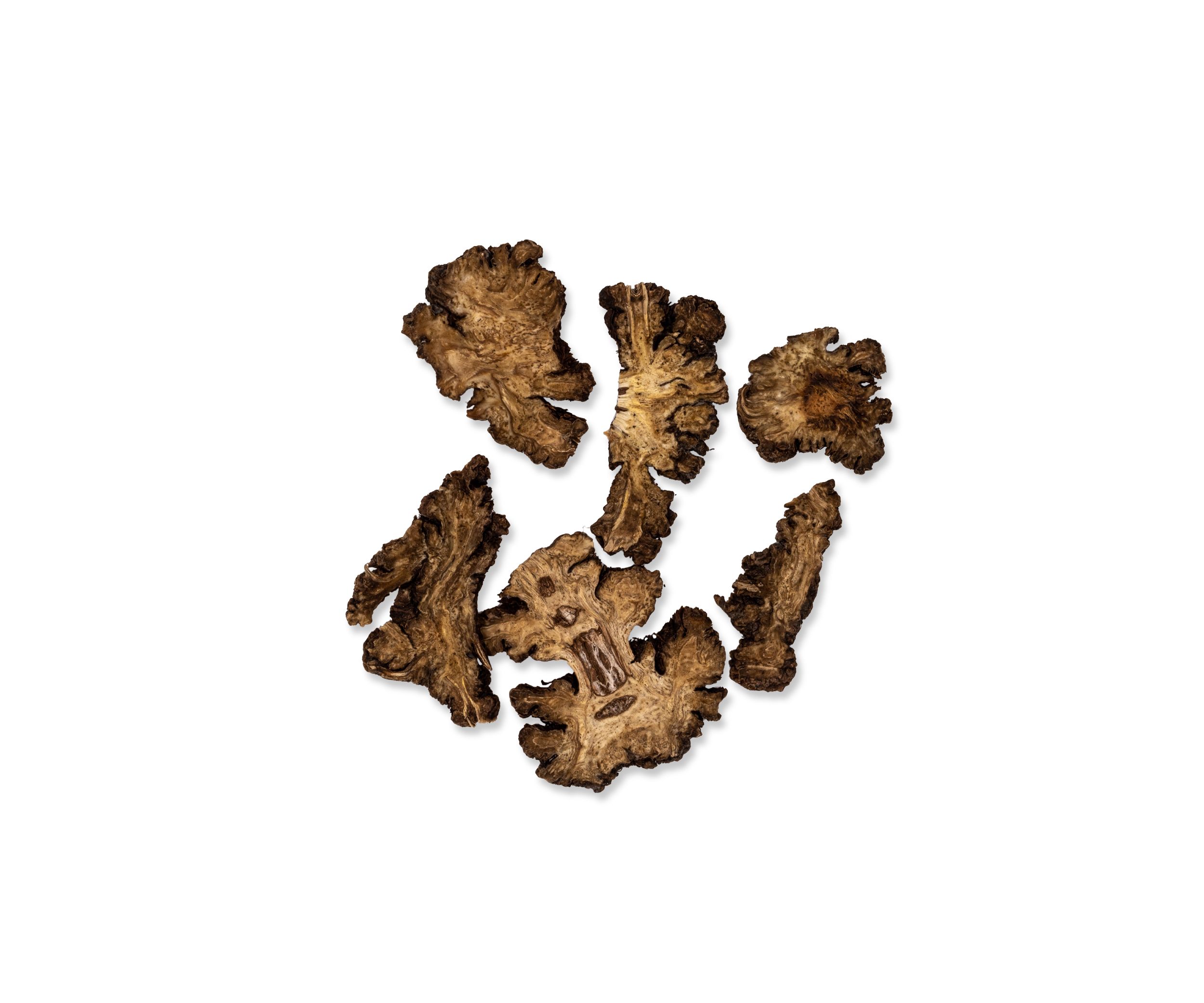 Ligusticum chuanxiong – Rhizoma Ligustici Wallichi CHUAN XIONG