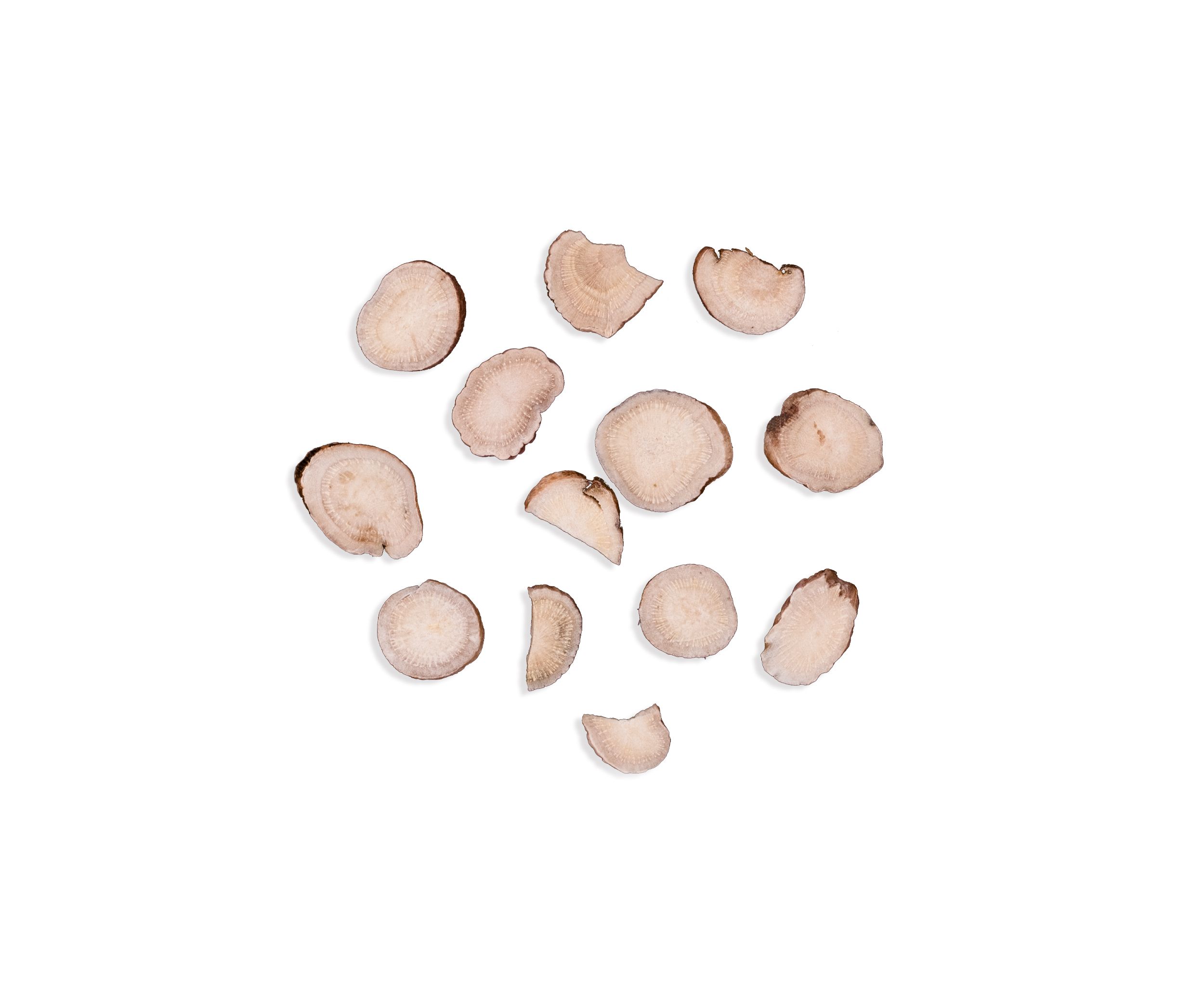 Paeonia lactiflora – Radix Paeonia Albae – BAI SHAO YAO