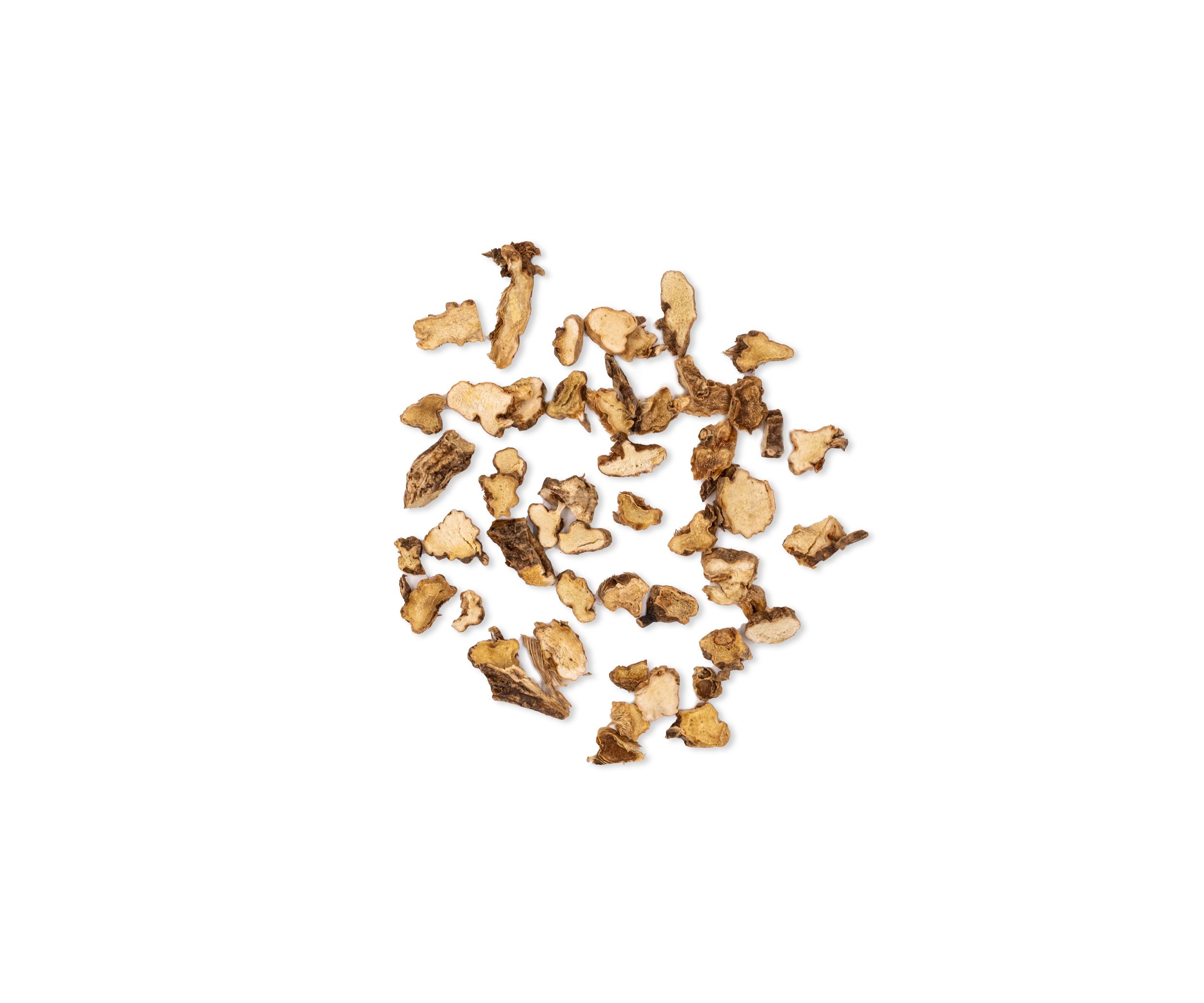 Anemarrhena asphodeloides ZHI MU Radix Anemarrhenae